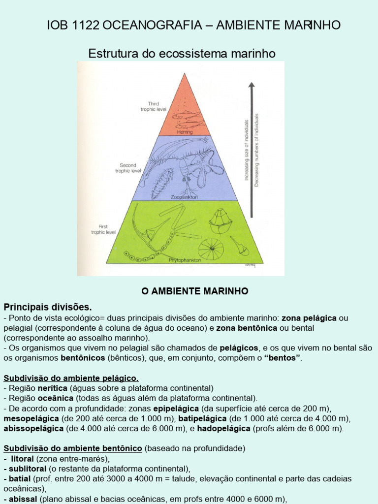 Sistema Pelagico Plancton (PT-LT) | PDF | Produção primária | Fitoplâncton