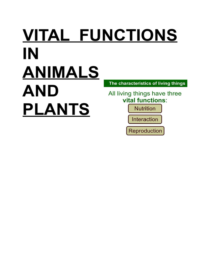 Vital Functions in Animals and Plants1 | PDF | Flowers | Pollination
