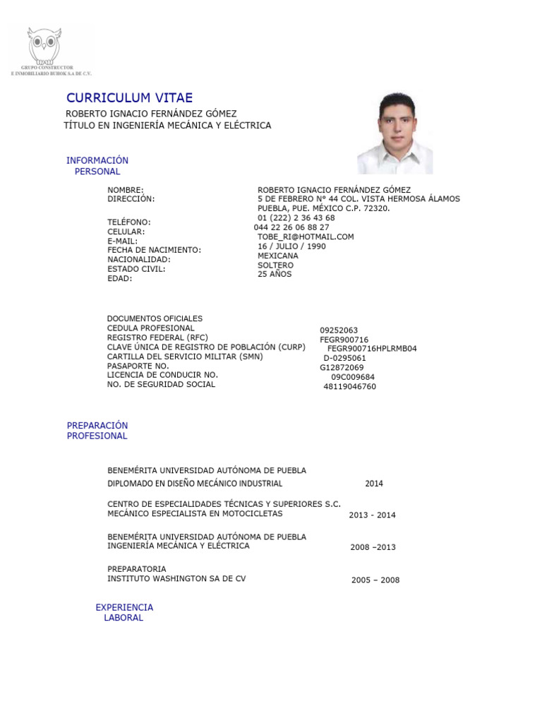 Ejemplo de CV Ing | PDF | Informática | Ingeniería