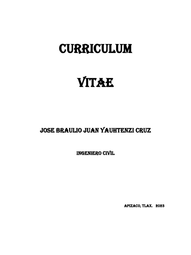 Curriculum Ejemplo | PDF