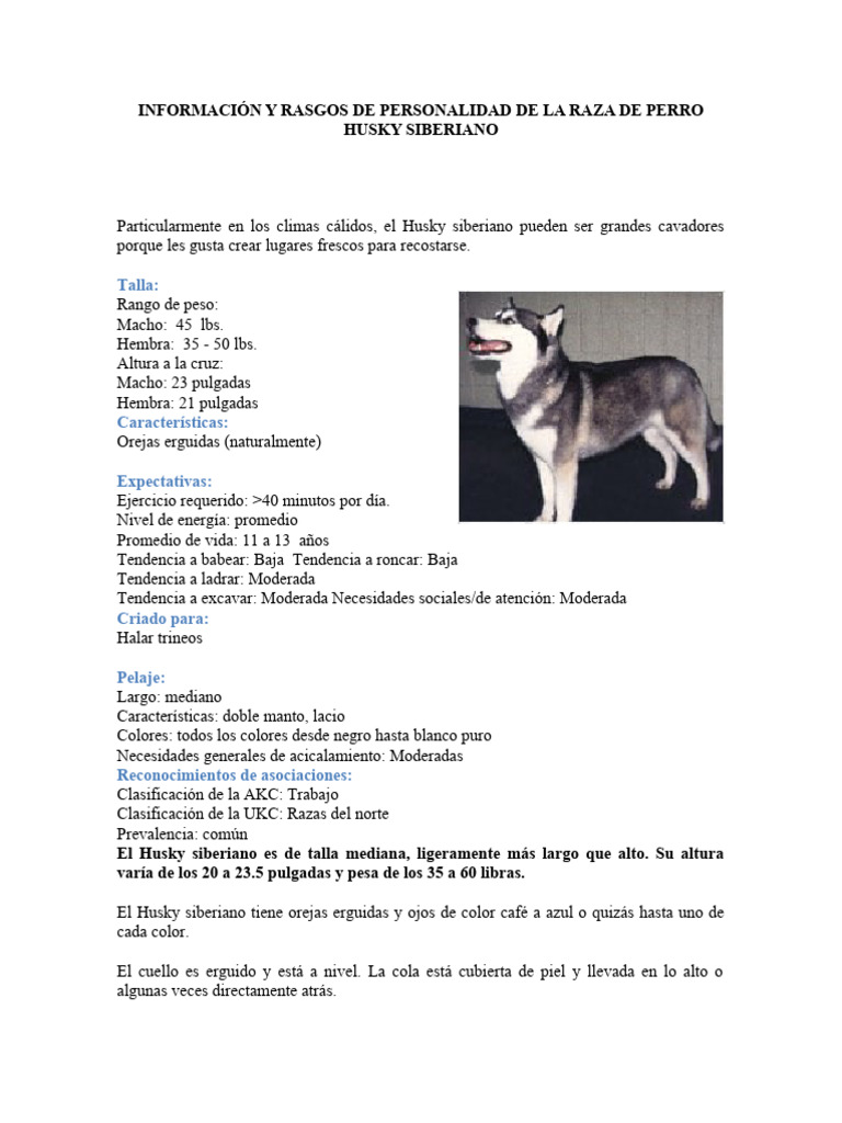 Características y personalidad del Husky Siberiano | PDF | Cria de ...