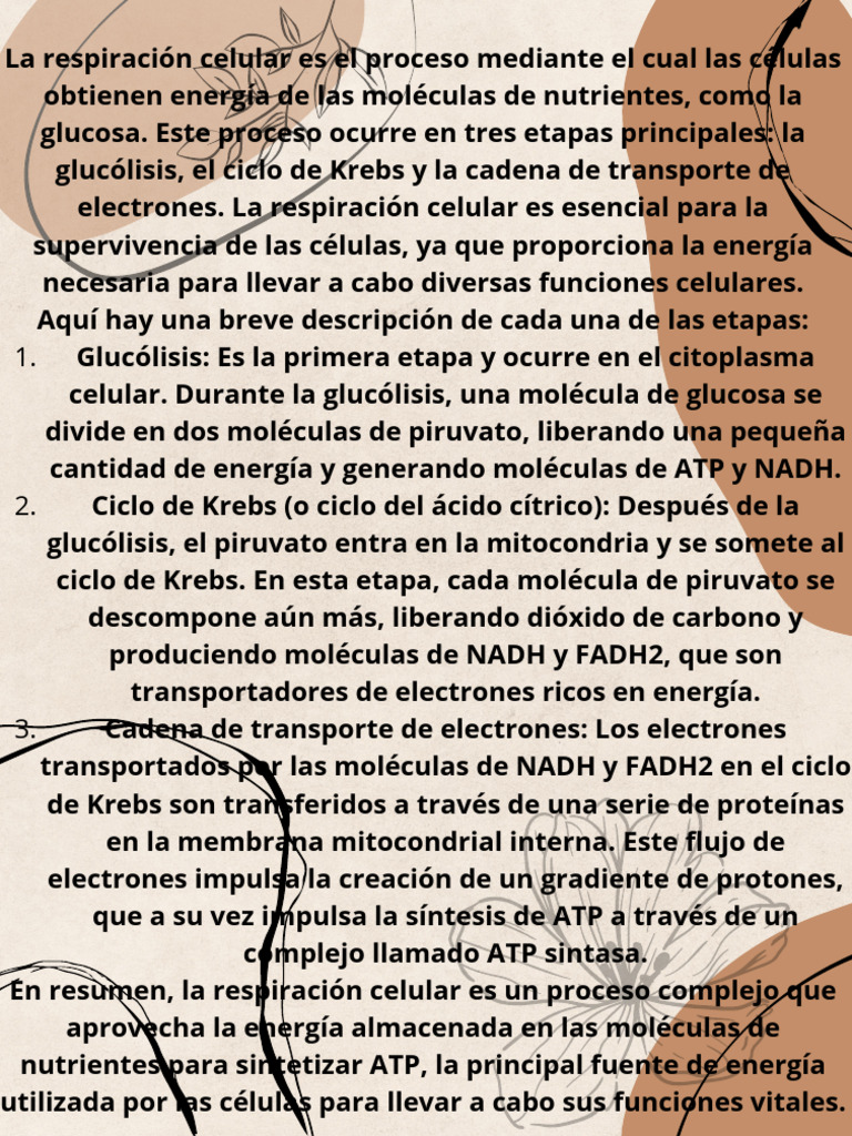 La Respiración Celular Es El Proceso Mediante El Cual Las Células Obtienen Energía de Las ...