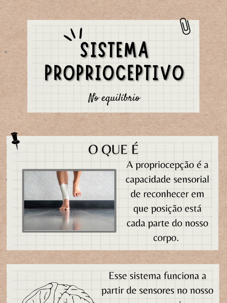Sistema Proprioceptivo | PDF