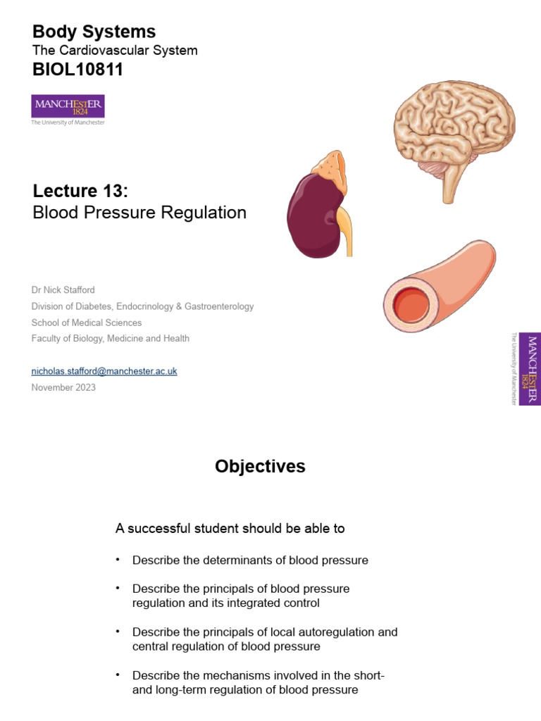 Lecture 13 - Blood Pressure Regulation (1) 2 | PDF | Angiotensin ...