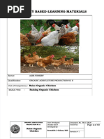 CBLM ANP Poultry-Chicken | PDF | Chicken | Broiler