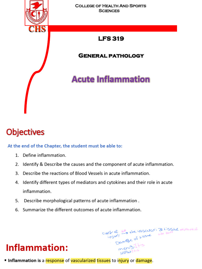 3.acute Inflammation | PDF | Inflammation | Immune System