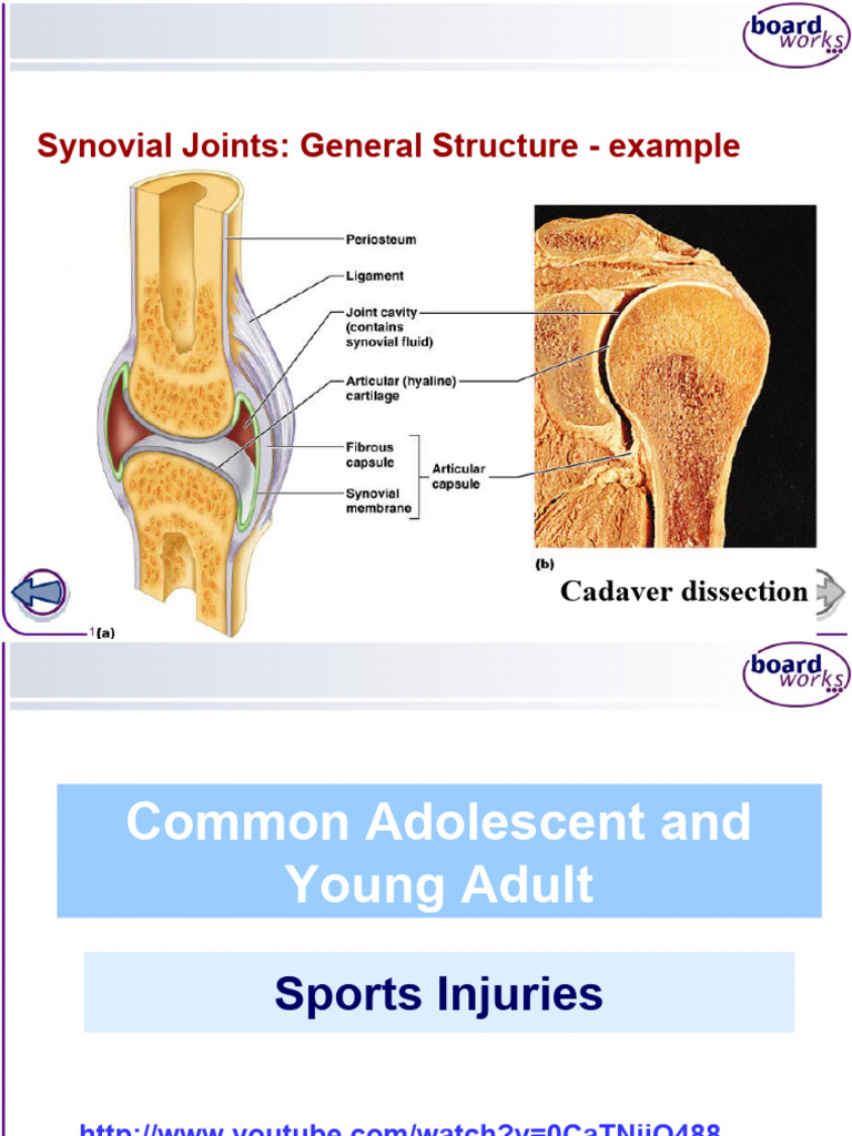 Sports Injuries | PDF | Injury | Cardiopulmonary Resuscitation