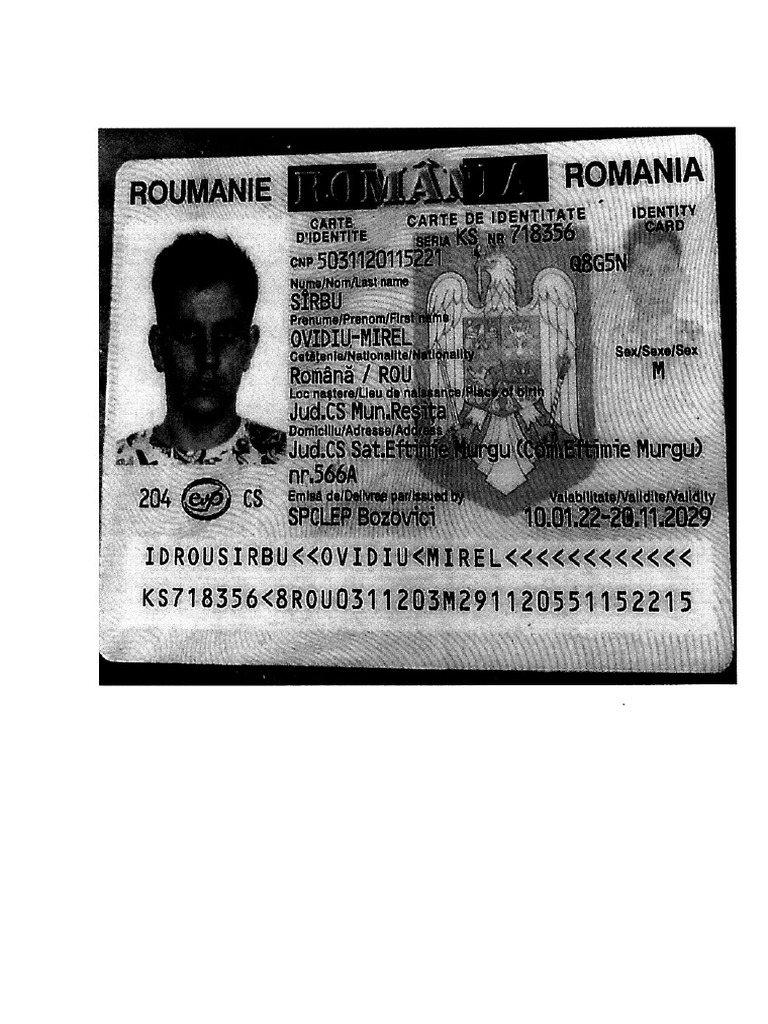 Sirbu 2023 07 03 16 20 23 597 | PDF