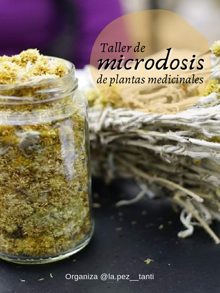 Taller de Microdosis. Tanti | PDF | Cuidado de la salud | Medicina