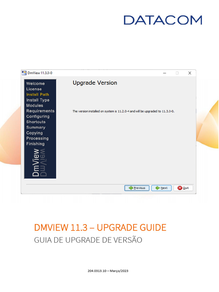 204.0313.10 - DmView-11.3 - Upgrade Guide - PT | PDF