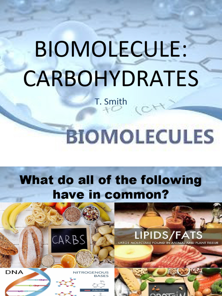 Biomolecules Carbohydrates | PDF | Carbohydrates | Biomolecules
