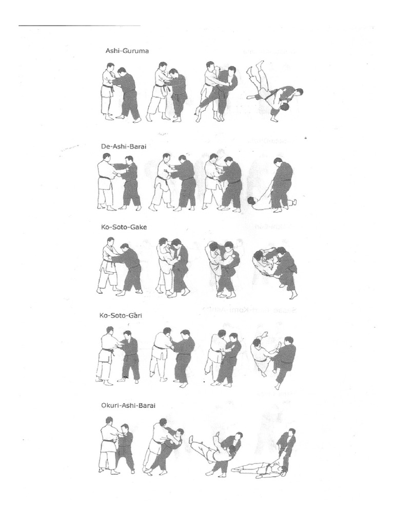 Ashi Waza | PDF