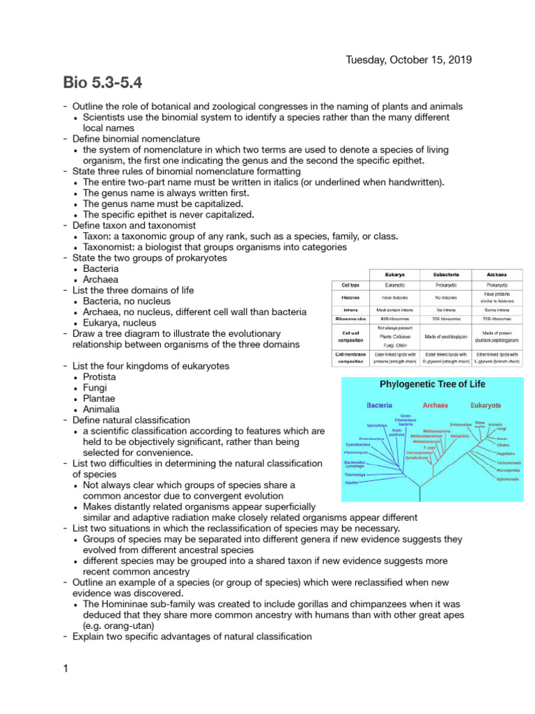 Bio Review Classification | PDF