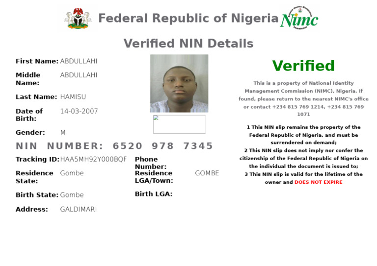 Nin Basic HAMISU ABDULLAHI Xpressverify 1703423178 | PDF