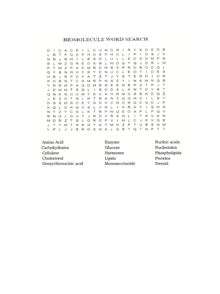 Biomolecule Word Search | PDF