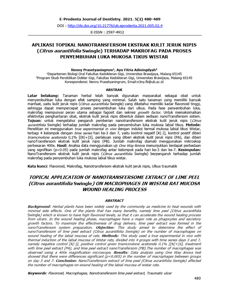 Admin, 176 FIX LAYOUT | PDF