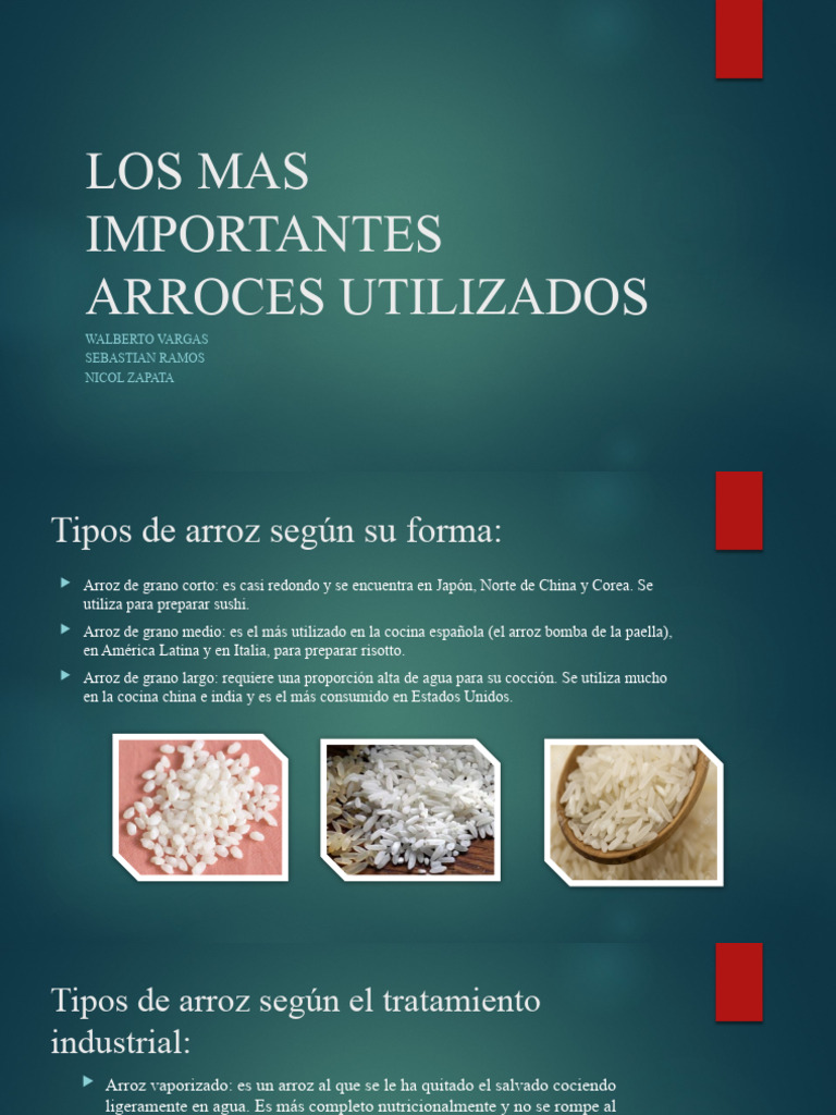 Los Mas Importantes Arroces Utilizados | PDF | Arroz | Cocinando