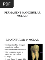 Morphology of permanent maxillary 3rd molar | PDF | Dental Anatomy ...