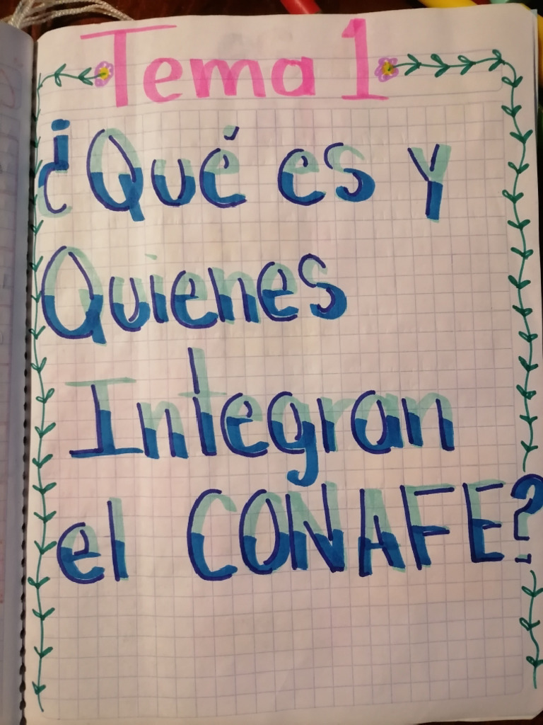 Tema 1: ¿Qué Es y Quienes Integran El CONAFE? | PDF