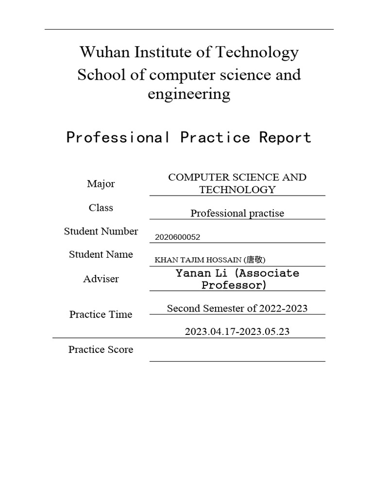 Professional Practice Report Template 2 | PDF | Computer Program ...