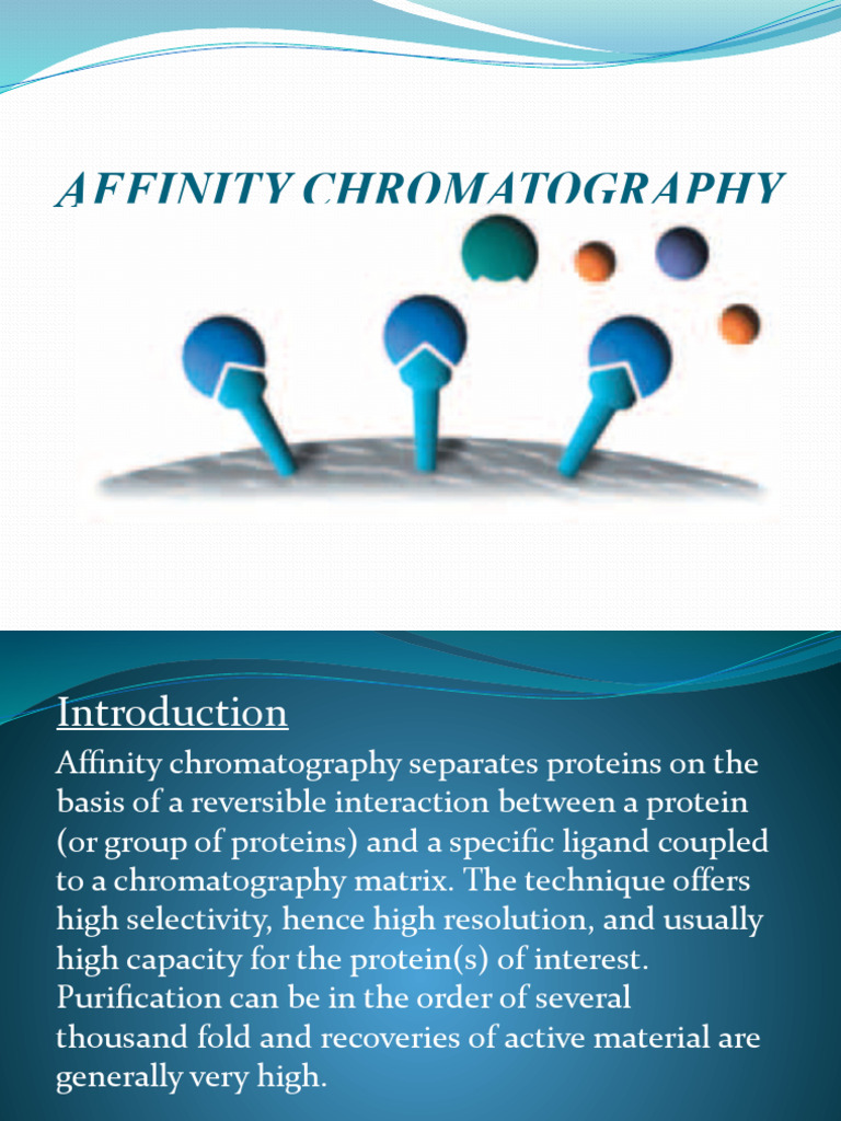 Affinity Chromatography | PDF | Protein Purification | Chromatography