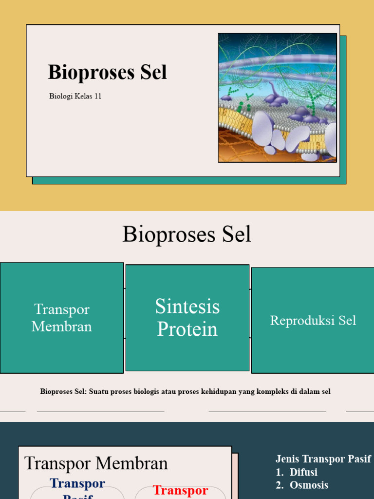 Bioproses Sel | PDF