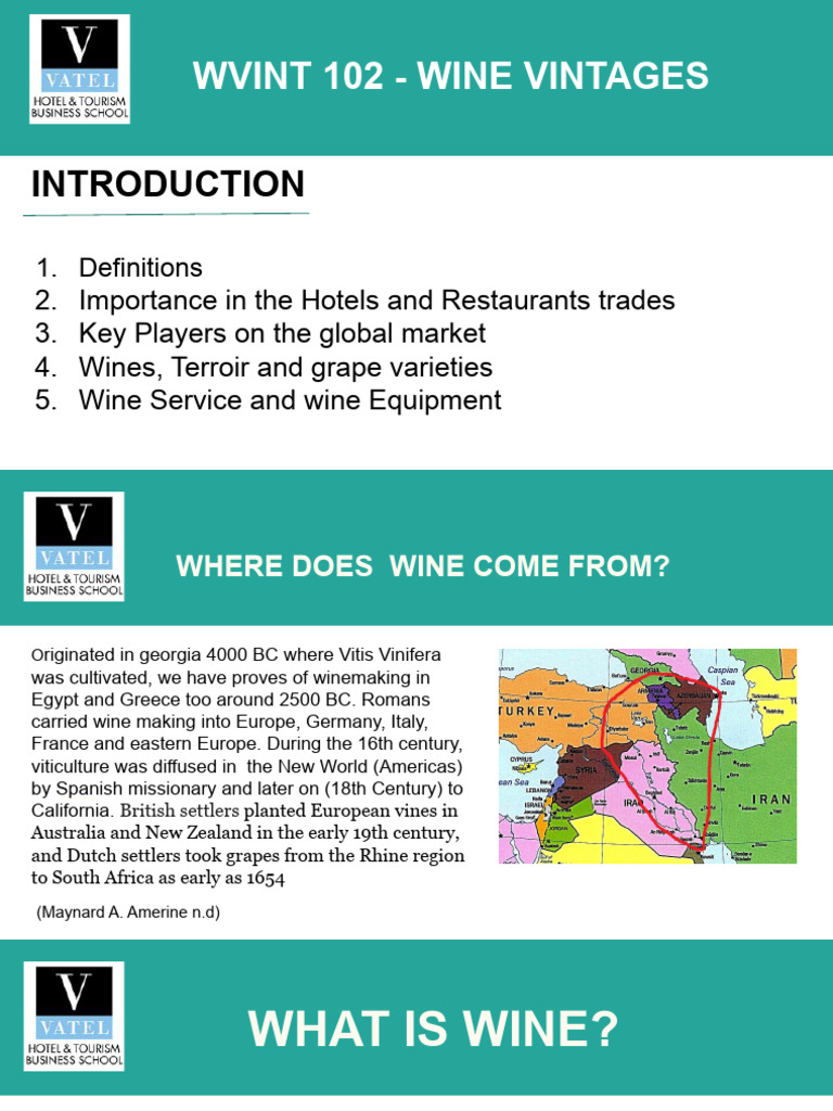 1wvin - Introduction | PDF | Wine | Vitis