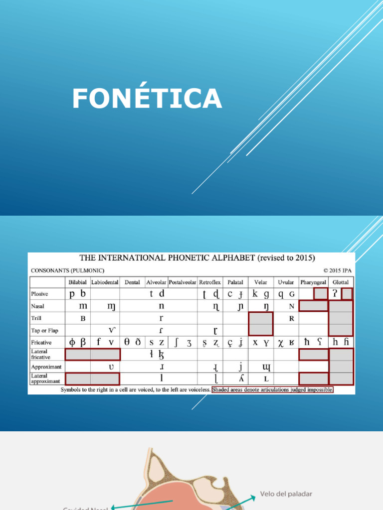 Fonética | PDF