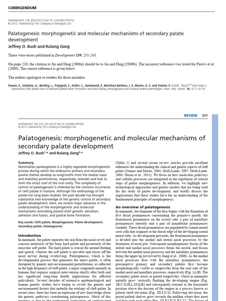 #3 Palatogenesis | PDF | Signal Transduction | Morphogenesis