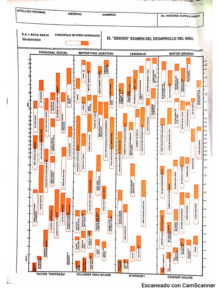 Test Denver Hoja (1) | PDF