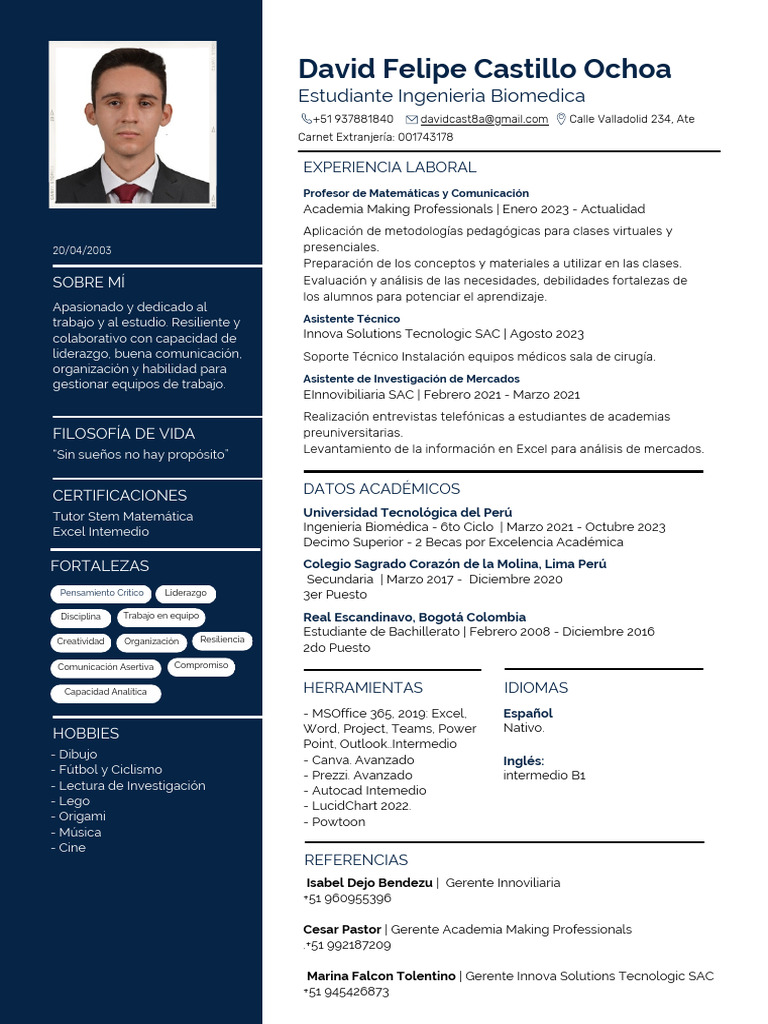 Currículum Vitae David Castillo | PDF | Aprendizaje