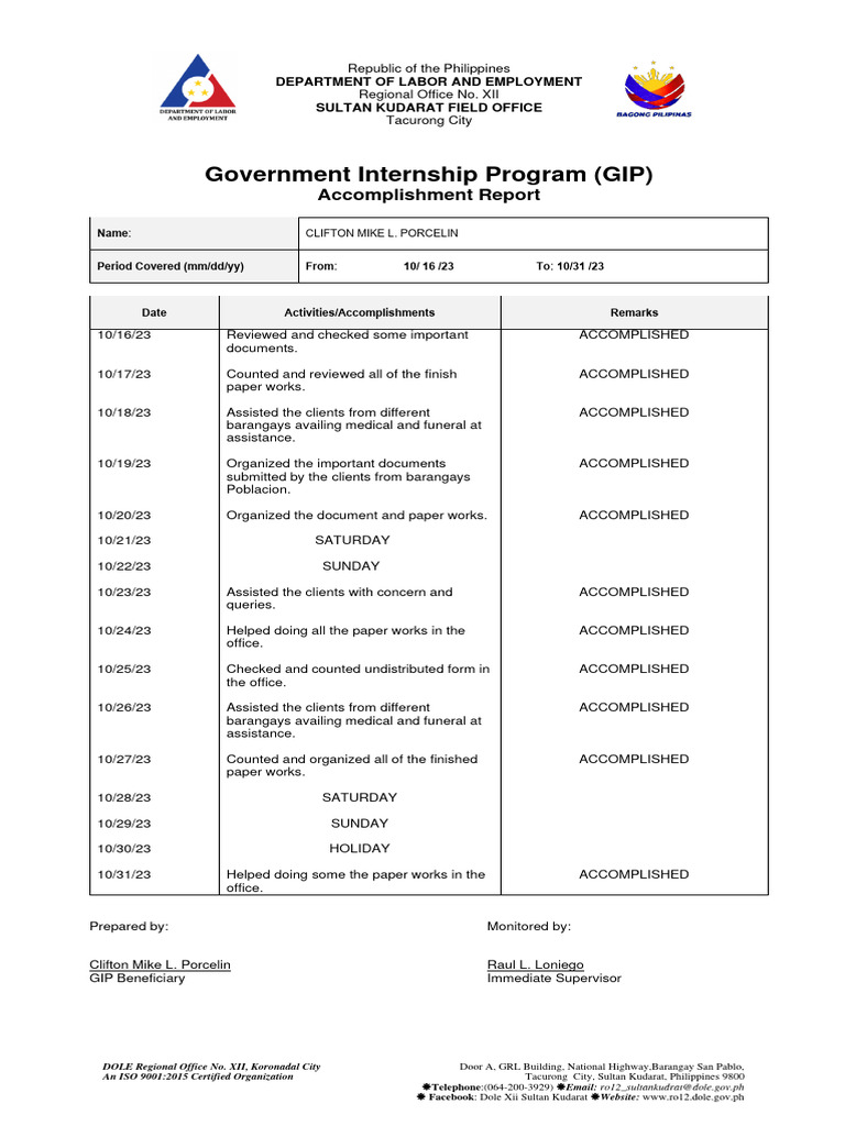 GIP Accomplishment Report. Porcelin | PDF