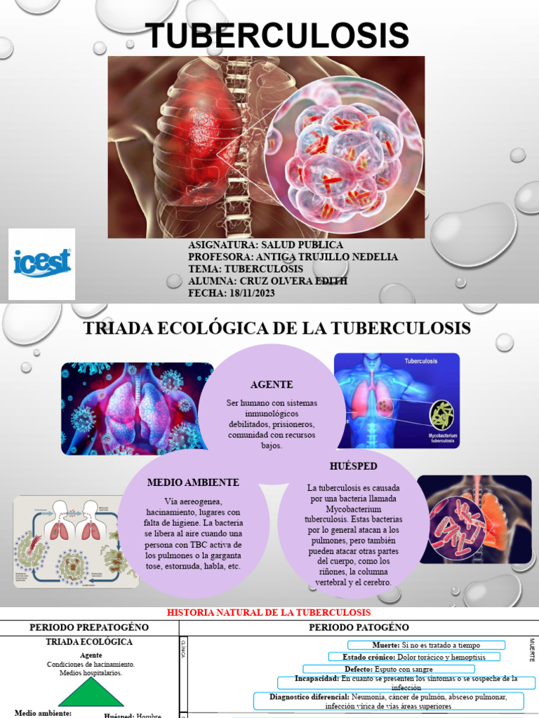 Tuberculosis Edith Cruz | PDF | Tuberculosis | Microbiología
