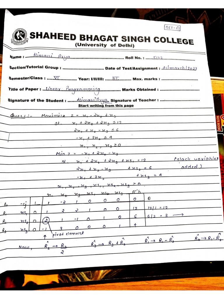 LPP Assignment | PDF