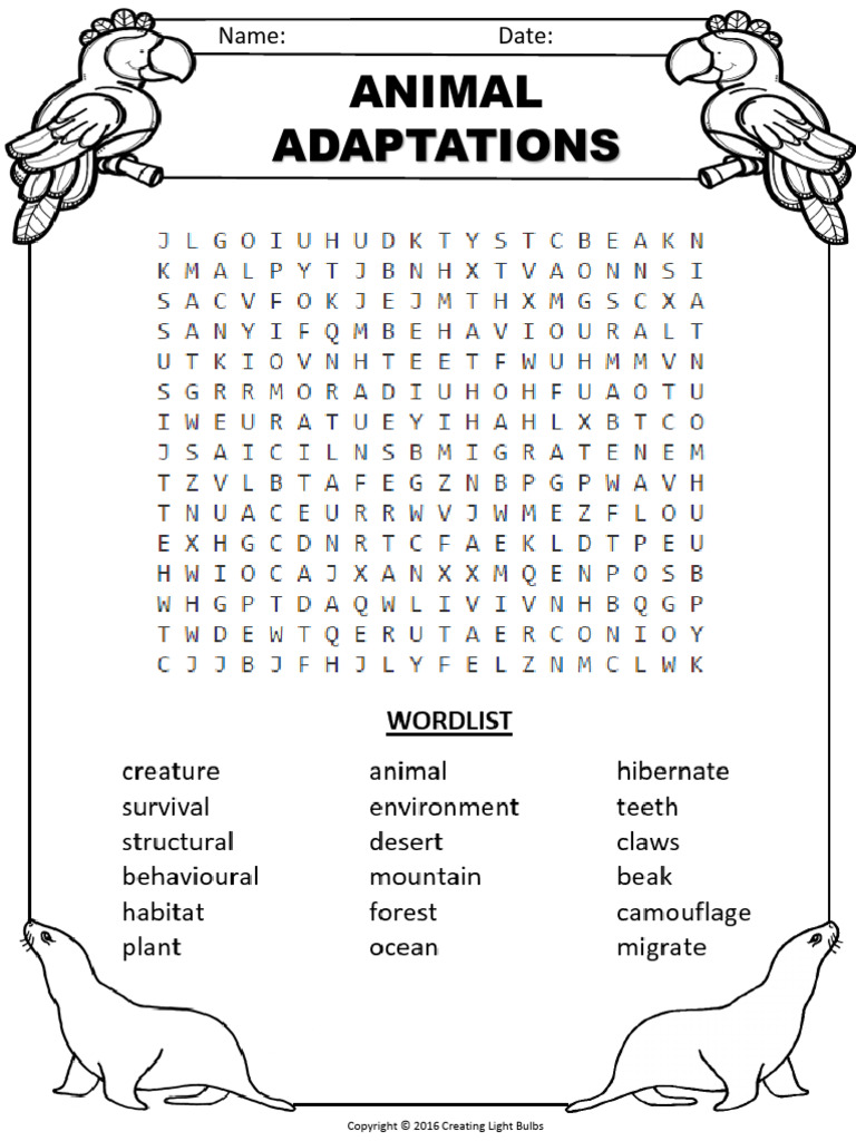 Animal Adaptations | PDF