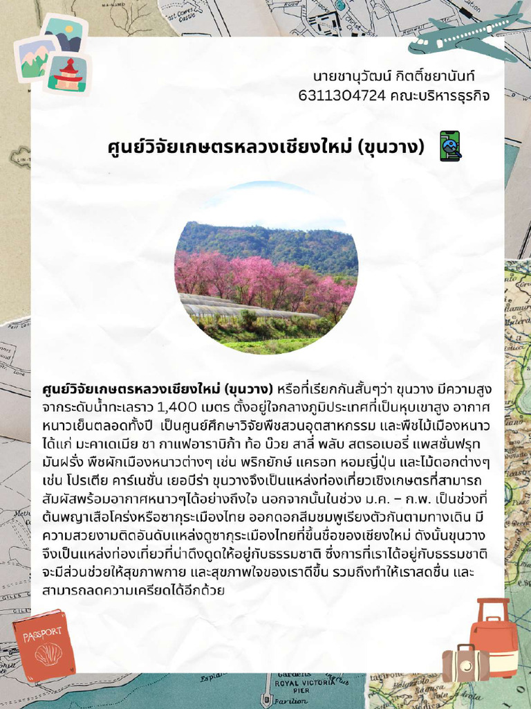 Gray Illustrative Travel Blank Page A4 Document | PDF