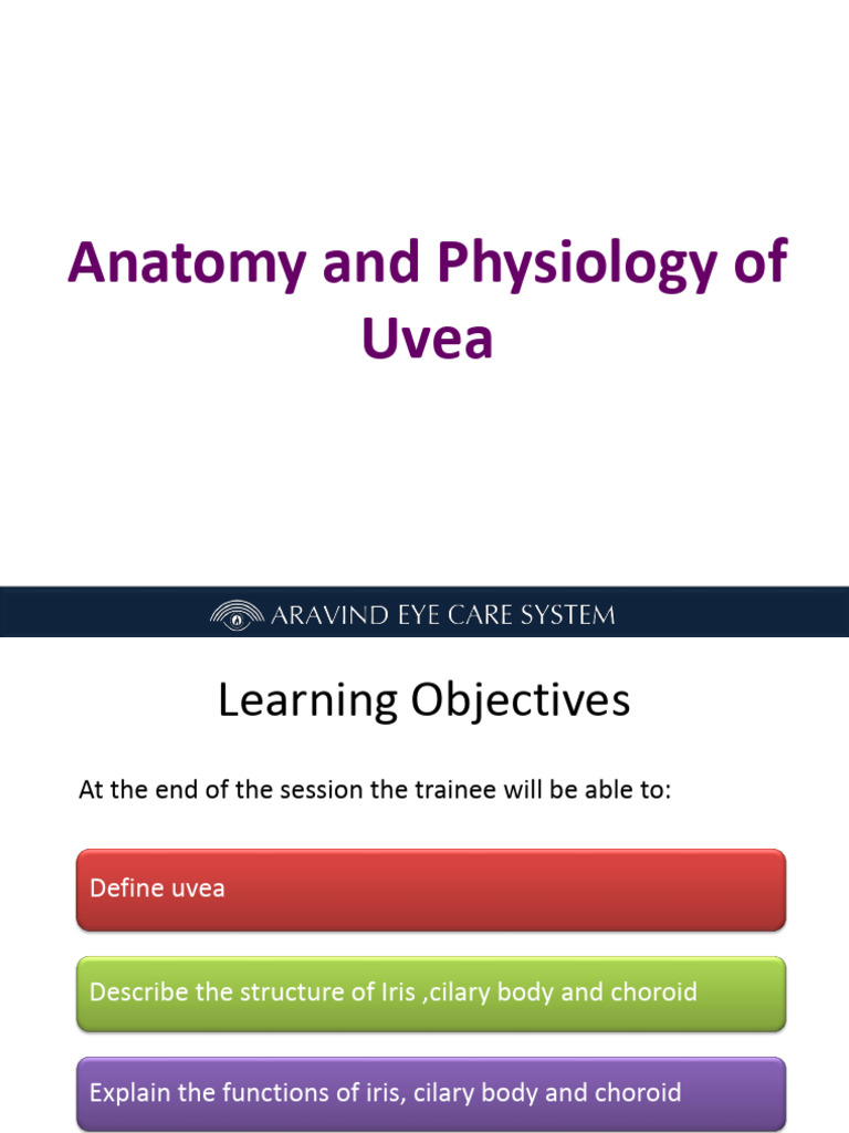 Anatomy and Physilogy of Uvea | PDF | Foreign Language Studies ...