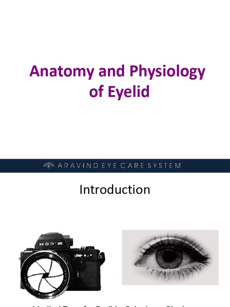 Eyelid Anatomy and Functions Explained | PDF | Eye | Ophthalmology