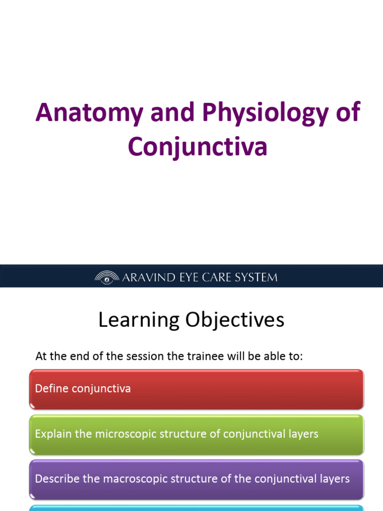 Anatomy of the Conjunctiva Explained | PDF
