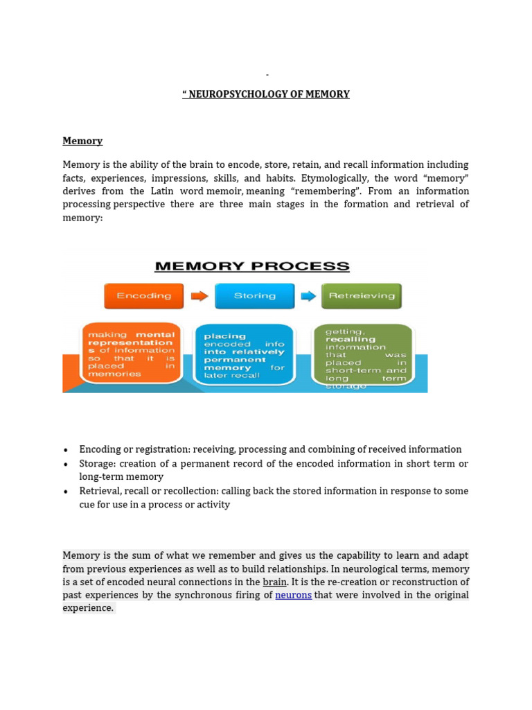 Memory Insights for Researchers | PDF | Memory | Temporal Lobe