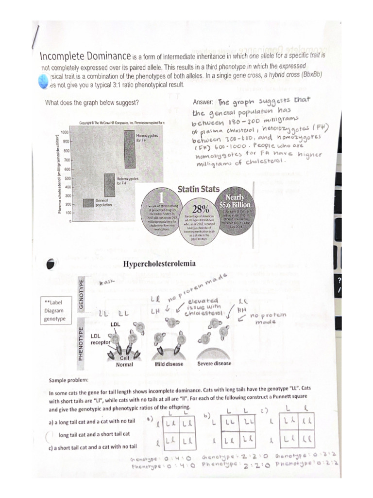 Incomplete Dominance Is A Form of Intermediate Inheritance in Which One Allele For A Specific ...