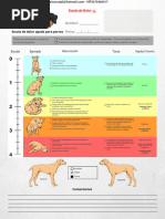 Curso de Inicio QVET para Veterinarias | PDF | Ventana (informática ...