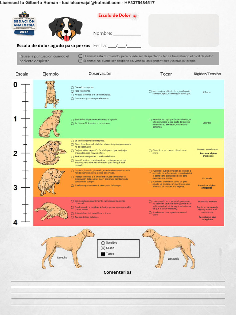 Escala de Dolor Agudo para Perros | PDF | Dolor | Sistema nervioso