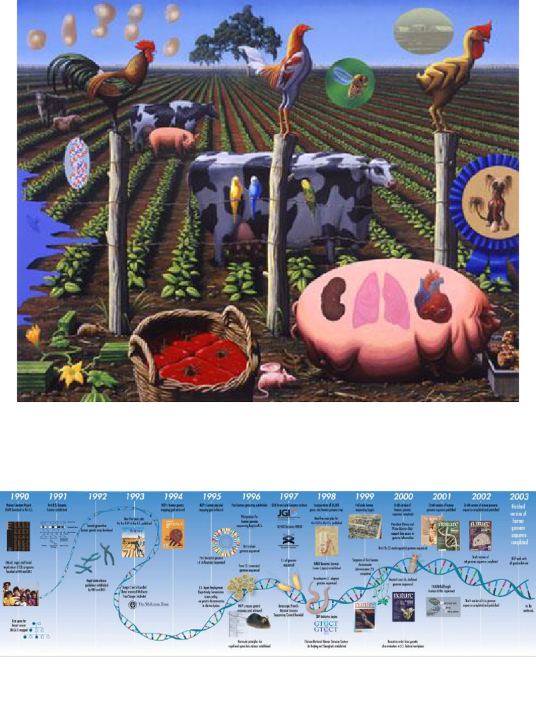 CNDT 1 Chương 4 | PDF