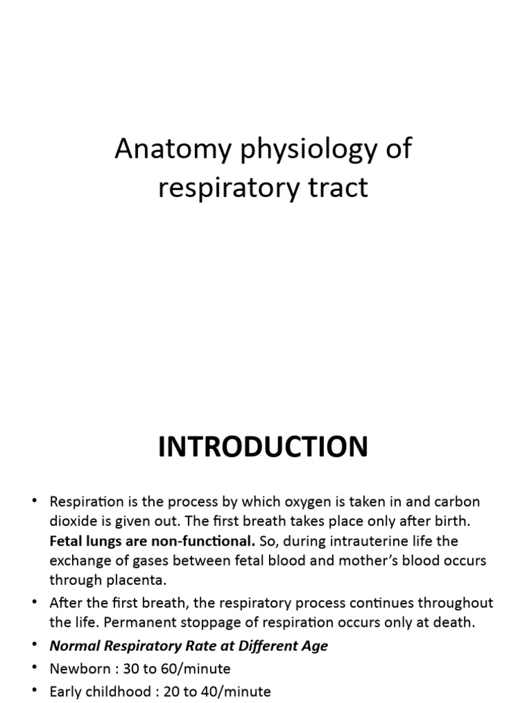 Anatomy Physiology of Respiratory Tract | PDF