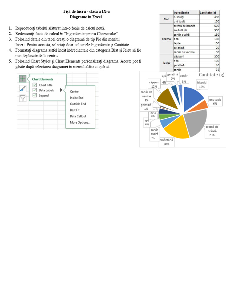 fisa_de_lucru_clasa_x_diagrame_in_excel | PDF