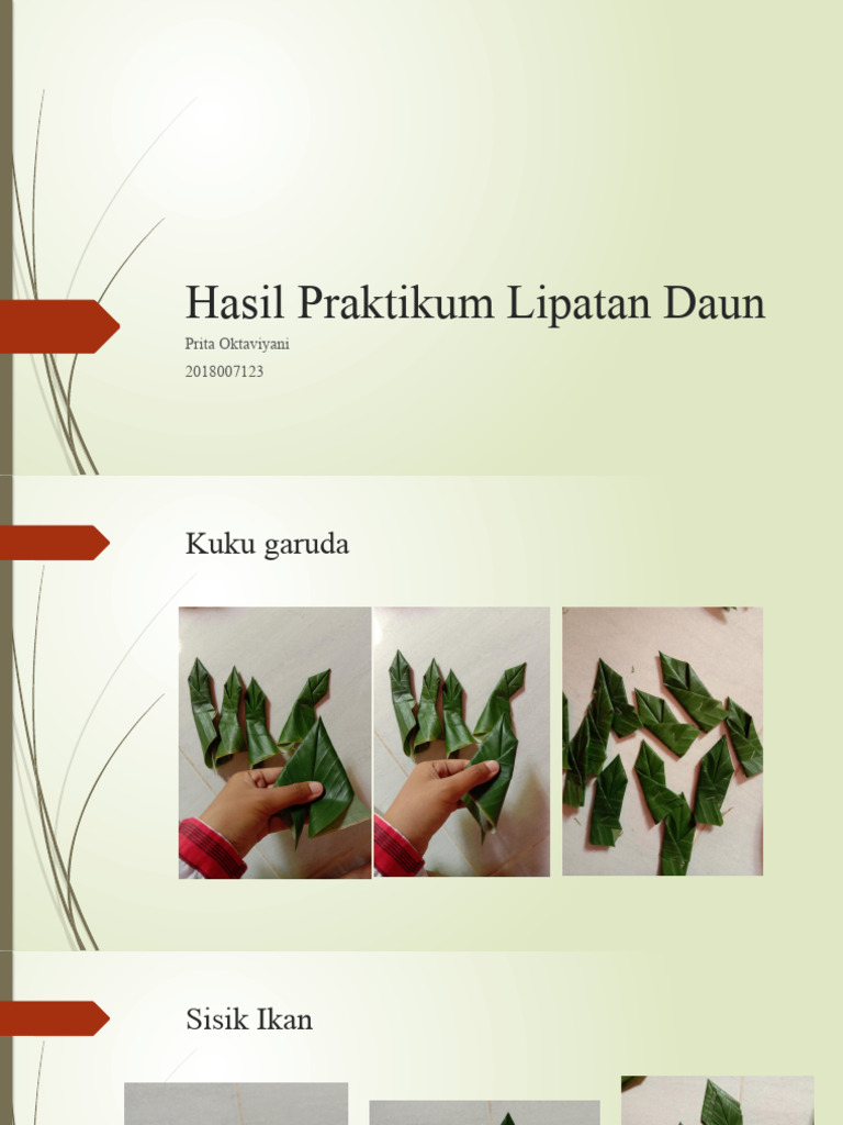 Lipatan Daun | PDF