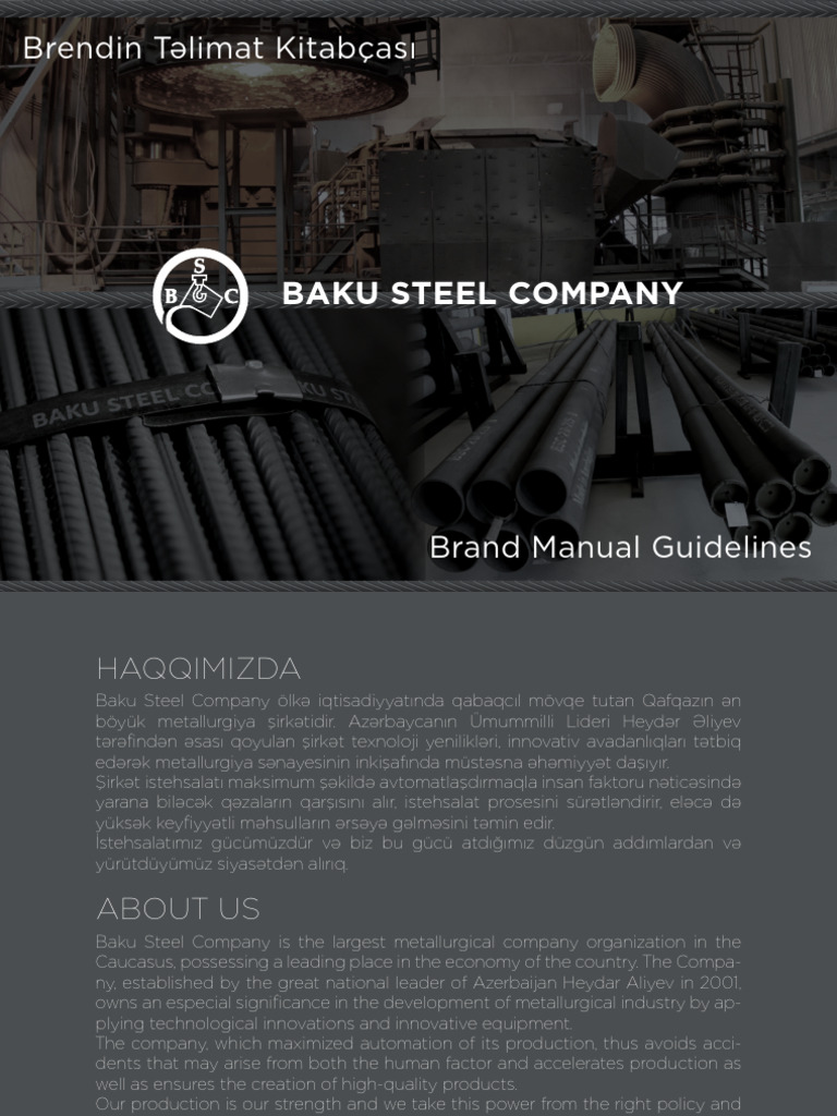 BSC Brand Manual Guideline | PDF