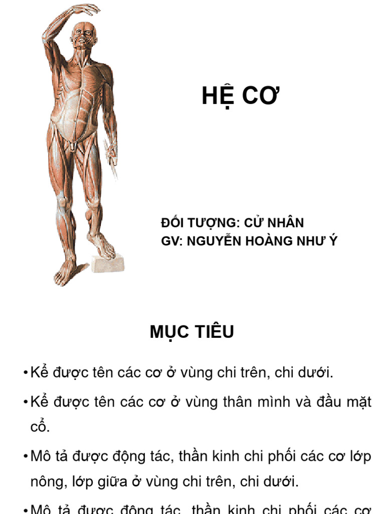 HỆ CƠ CN | PDF