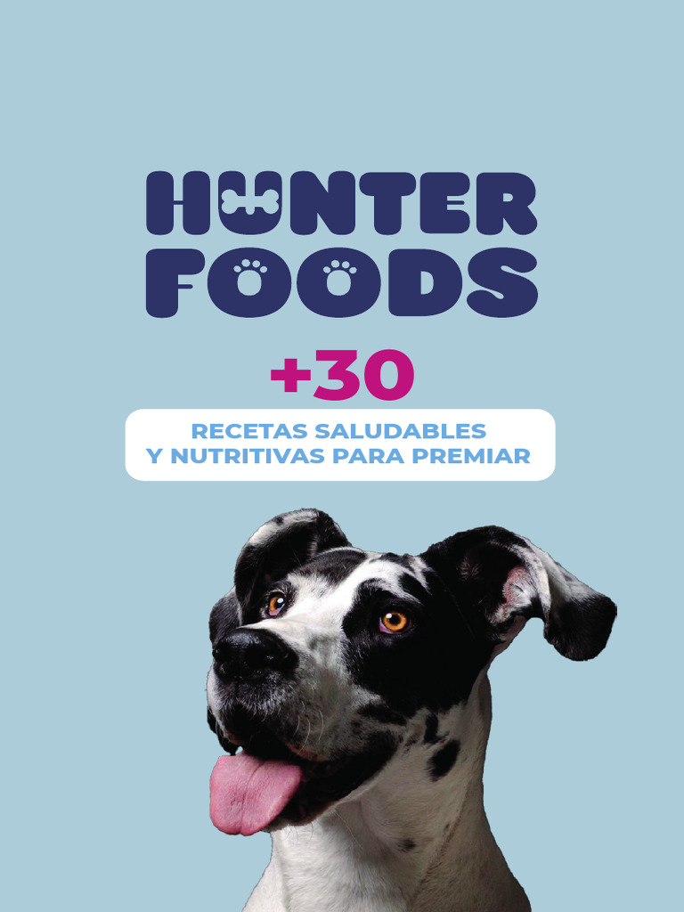 Recetario Hunter Foods | PDF